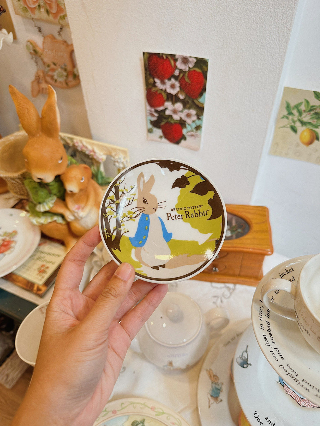 Peter Rabbit | Brambly Hedge – Magical Home Art